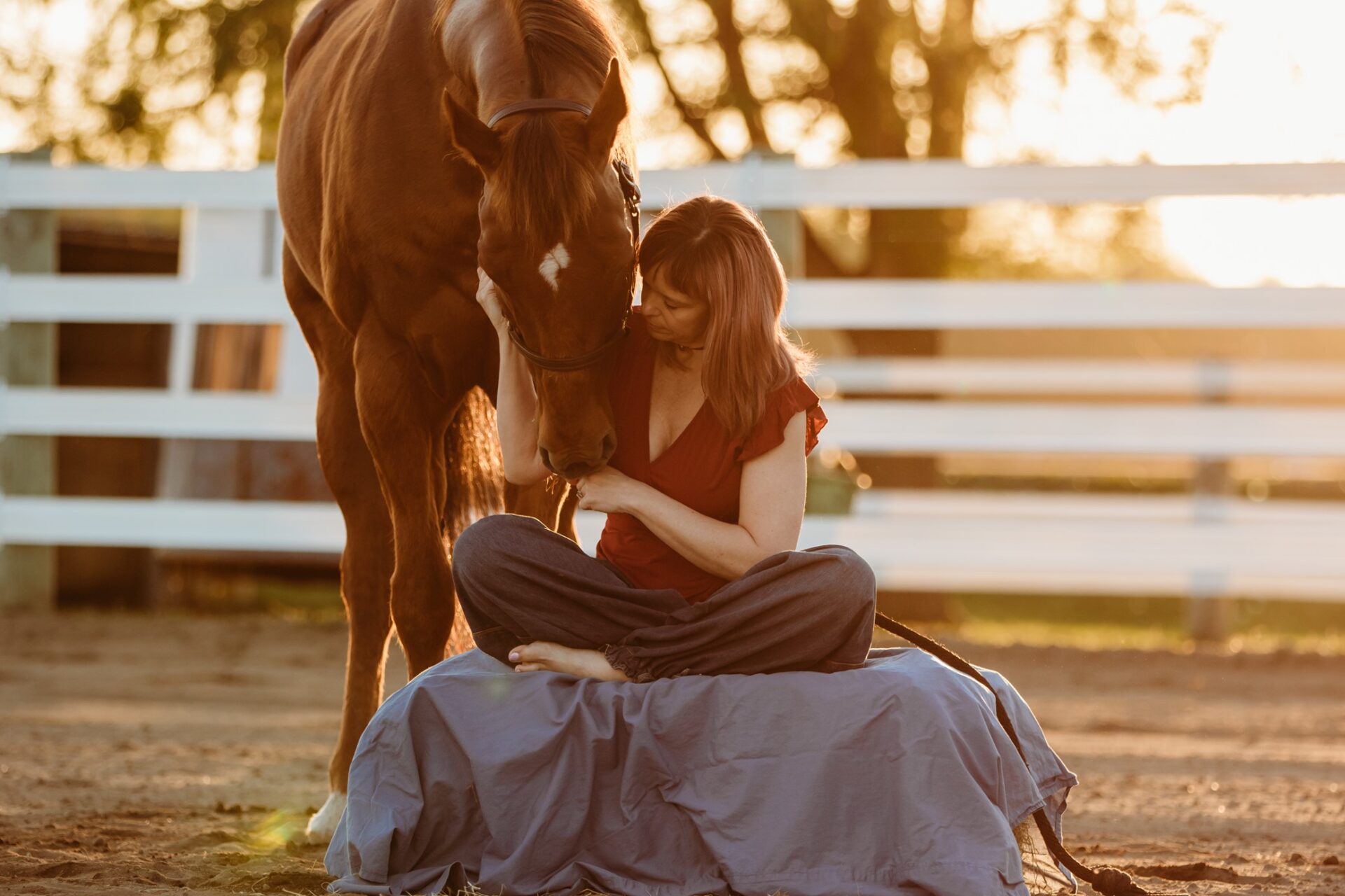 Access Bars® - Alphannymots, Communication Animale